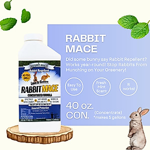 Nature’s MACE Rabbit Repellent 40oz Concentrate/Covers 28,000 Sq. Ft. / Rabbit Repellent and Deterrent/Keep Rabbits Out of Your Lawn and Garden/Safe to use Around Children & Plants