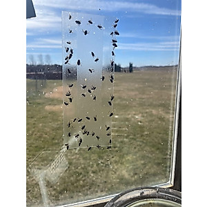 100 Count Window Fly Traps, Window Sticky Traps for Indoors, Clear Window Strip, Fly Catcher Trap for Home Houseflies, No Residue Fruit Fly Sticky Traps