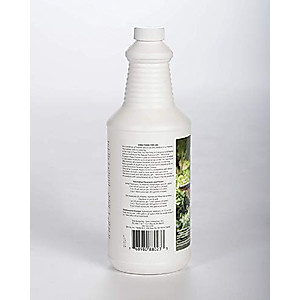Fountain Algaecide and Clarifier - 32oz - Kills and Inhibits All Types of Algae Growth, Formulated for Small Ponds and Water Features, Treats up to 32,000 Gallons