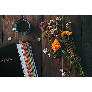 tabbies Rainbow Spanish Catholic Bible Indexing Tabs, Old & New Testaments Plus Catholic Books, 90 Multi-Colored Tabs Inc. 71 Books & 19 Ref. (58347)