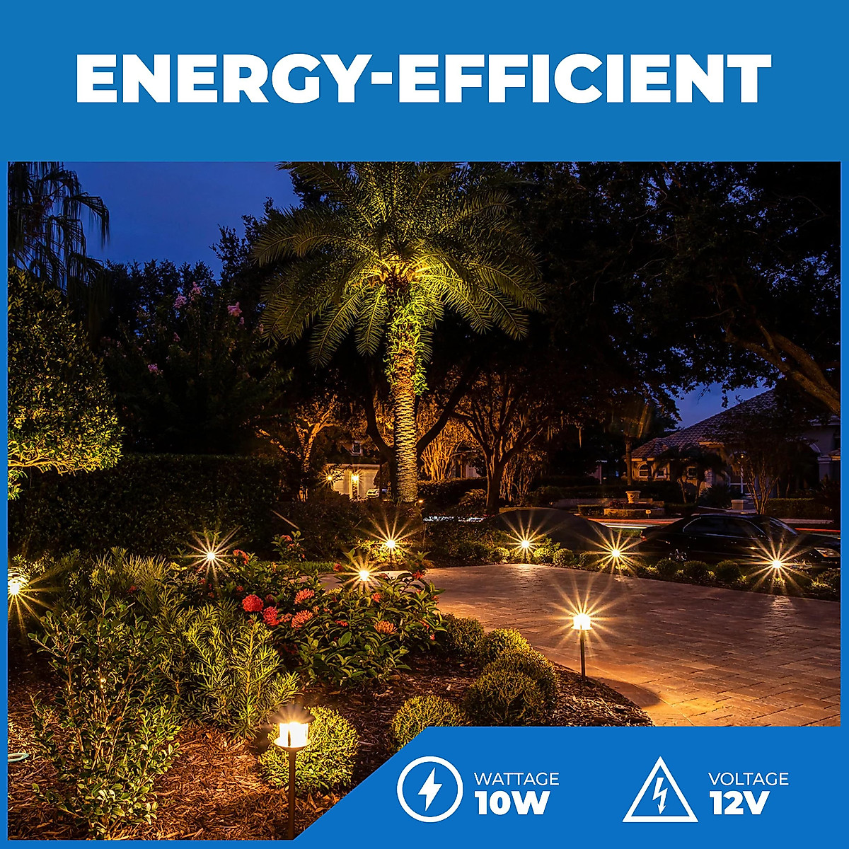 OHLECTRIC T3.25 Soft White Clear Pure Xenon Gas Bulbs with Wedge Base | 10W Dimmable Light Bulbs with100L & 2800K Color Temperature | (Pack of 10) OL-46160