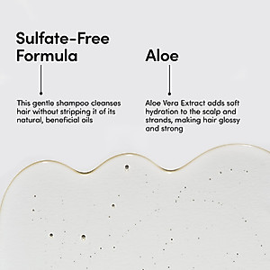 LATHER Mint Thyme Shampoo Hair Wash - Invigorating Sulfate-Free Gentle Shampoo - Natural Shampoo With Peppermint Oil, Green Tea, Mint & Thyme - 8 Oz Bottle