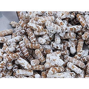 100 Turkey Tail Mushroom Spawn Plugs to Grow Gourmet and Medicinal Mushrooms at Home or commercially.