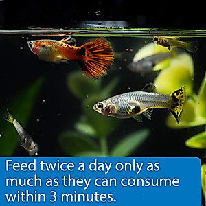 API TROPICAL MINI PELLETS Mini Sinking Pellets Fish Food 1.7-Ounce Container