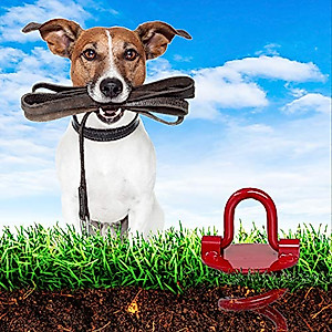 Pet Fit For Life Dog Tie Out Stake - Heavy Duty Yard Stake for Dogs with Swivel Ring for Cable Attachment - Safe for Dog or Puppy in Yard, Park, Camping or Beach