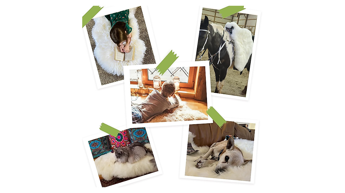 AOGELAN Genuine New Zealand Sheepskin Rug | Soft Fur Area Mat
