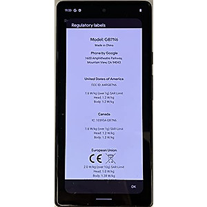 Google Pixel 6 (5G) 128GB Unlocked - Sorta Seafoam (Renewed)