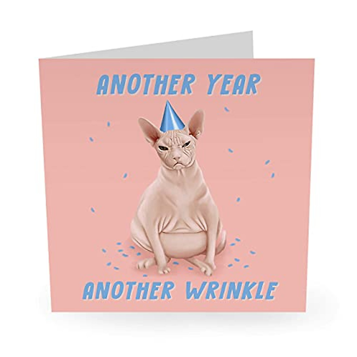 Central 23 - Funny Animal Birthday Card - “Sphynx Cat Another Year Another Wrinkle” - For Men & Women - Mom Dad Husband Wife Brother Sister 21st 25th 30th 40th 50th 60th - Comes with Fun Stickers