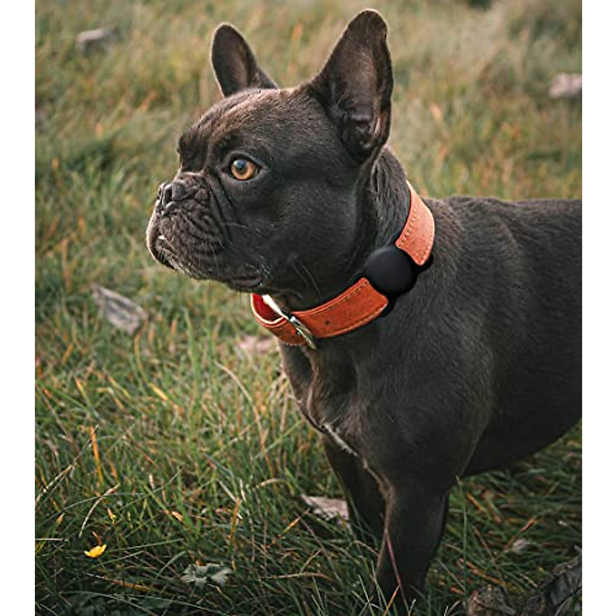 Airtag Dog Collar Holder(2 Pack) for Apple Airtag Dog Tracker Holder Anti-Lost Silicone Air Tag Holder Case Compatible with Cat Dog Collars (2xBlack)