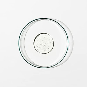 Grown Alchemist Hand Wash: Cedarwood Atlas, Ylang Ylang, Tangerine. Gentle Hand Wash that Hydrates and Cleanses Skin, 16.9 Ounce (500ml)