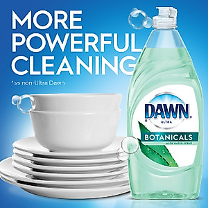 Dawn Botanicals Aloe Water Scent Dishwashing Liquid,19.4oz
