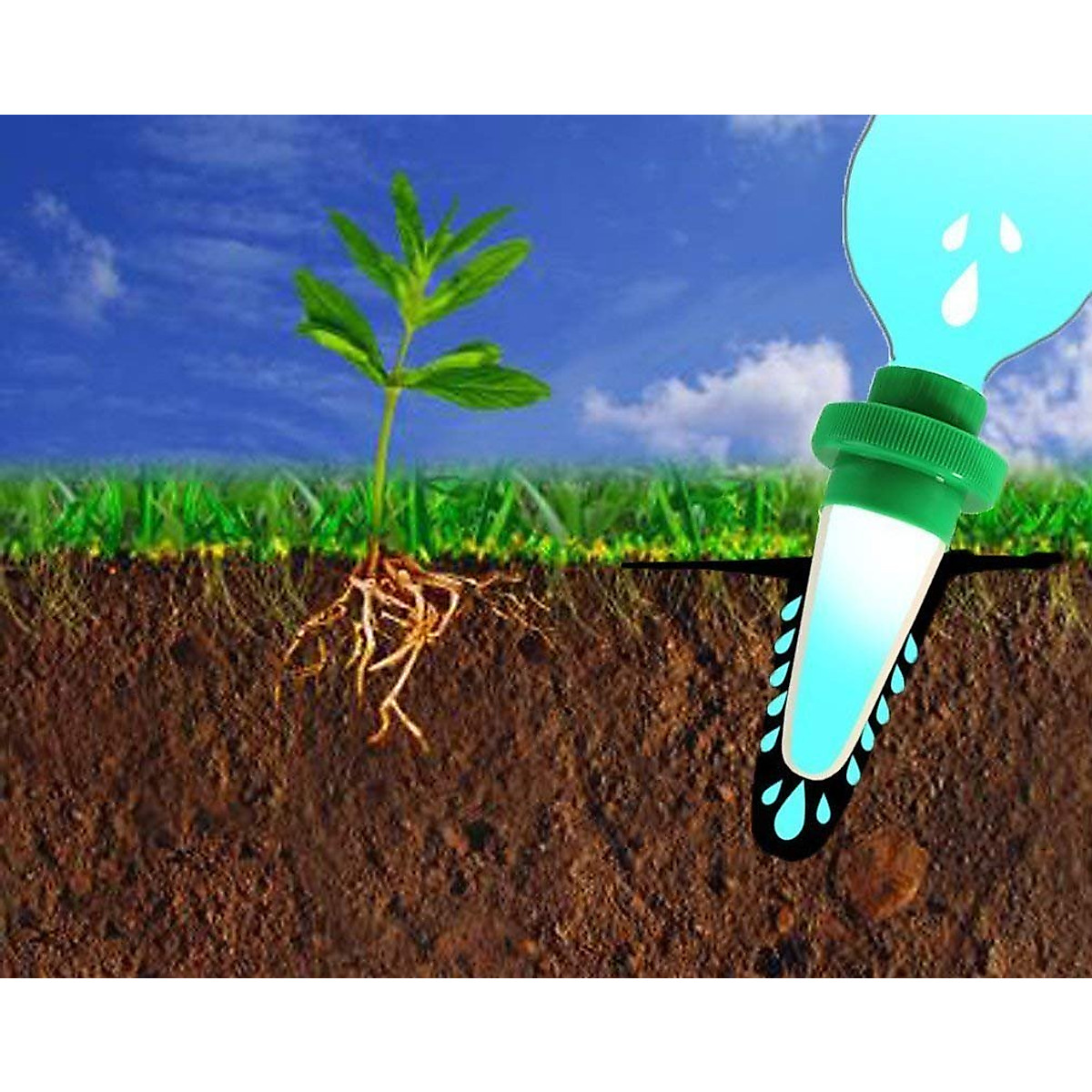 Poolan 15 Pack Vacation Plantes Waterer Self Watering Stakes Automatic Watering System, Plant Self Drip Irrigation Slow Release for Indoor or Outdoor Houseplants (15)