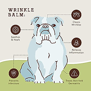 Natural Dog Company Wrinkle Balm, 1 oz. Tin, Dog lotion for dry itchy skin, Cleans Wrinkles, Yeast Infection treatment for dogs, Plant based, Frenchie Dog Accessories, Made in USA