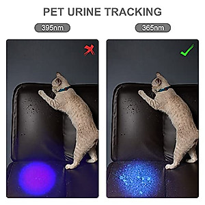 UWAYLITE V2 365nm Black Light UV Flashlight with 3 LED, Rechargeable 2 in 1 LED Tactical Flashlight for pet Urine Detection, Resin Curing, Rockhounding