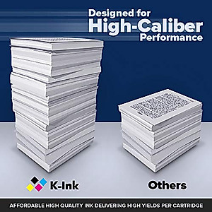 K-Ink Compatible Printer Ink Cartridges Replacement for Canon PGI 250 PGI-250 XL Black PGBK (4 Big Black)