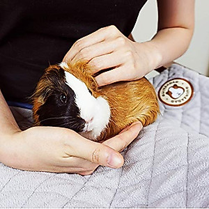 GuineaDad Liner | Guinea Pig Fleece Cage Liners | Guinea Pig Bedding | Extra Absorbent Bamboo | Waterproof Bottom (C&C 2x1, Grey)