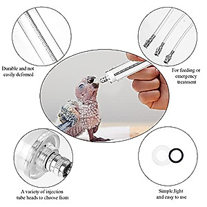 OBANGONG 3 PCS Bird Feeding Syringe Feeding Tubes for Baby Birds Used for Pet Sick Bird Parrot Feed Milk or Medicine,with 3 Curved Tubes 50ml,20ml,10ml