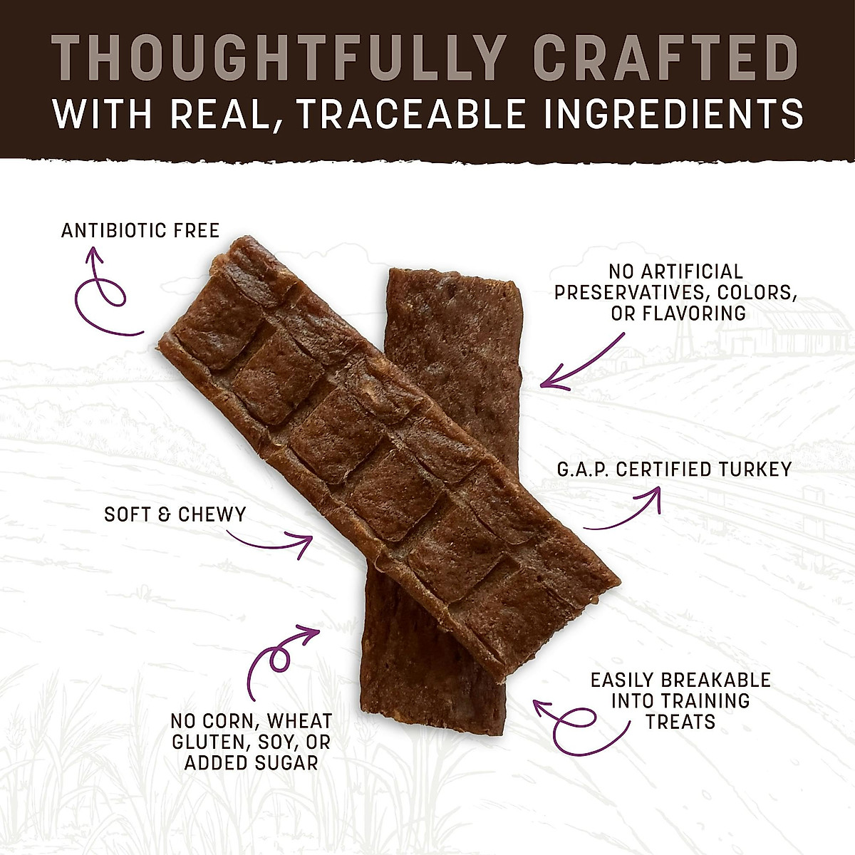 Earth Animal Wisdom Air-Dried Jerky Turkey Recipe | Dog Treats | Dog Snacks | Premium Natural Turkey Jerky Strips | 4 oz | Dog Treats Made in The USA (Pack of 1)