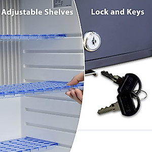 12V Mini Fridge With Lock and Key, 1.76 Cu. Ft Silent Lockable Refrigerator for RV Semi Truck, 12v/110v Small Cooler Quiet No Noise for Office Apartment Bedroom Marine Dorm Patio, Black