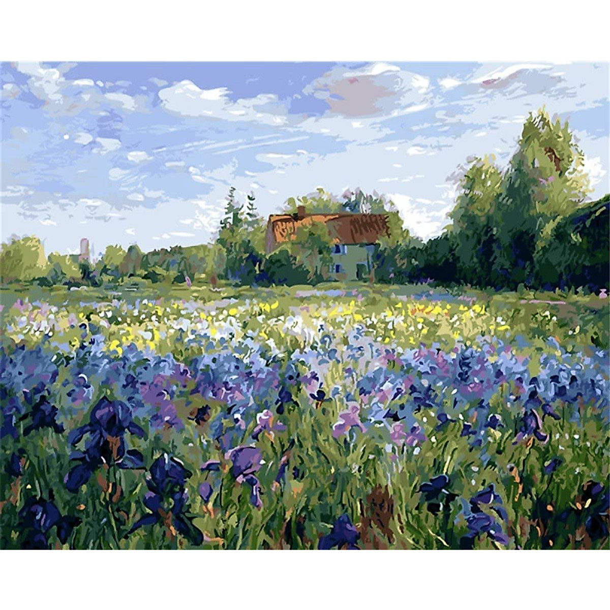 ABEUTY DIY Paint by Numbers for Adults Beginner - Purple Flower Rural Cabin Landscape 16x20 inches Number Painting Anti Stress Toys (No Frame)