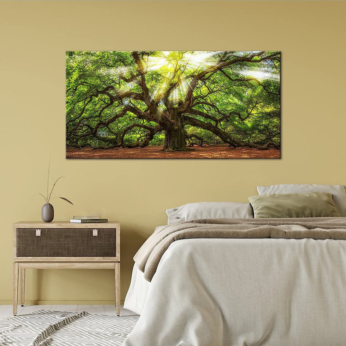 Conipit Landscape Canvas Artwork Angel Oak Tree Picture Prints Sunshine Through Tree Canvas Green Oak Tree Painting South Carolina Tree Print Framed and Stretched Nature Canvas (W-40xH-20)