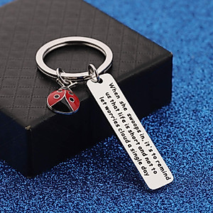 WUSUANED Good Luck Ladybug Keychain When She Swoops In It Remind Us Not Be Let Worries Cloud A Single Day Ladybug Lover Gift