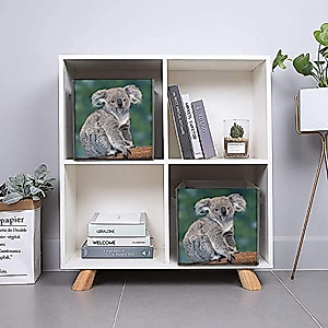 Cute Koala Bear Collapsible Storage Bins Basics Folding Fabric Storage Cubes Organizer Boxes with Handles