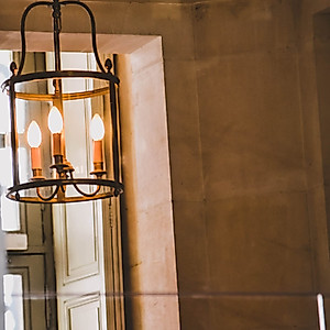 E14 LED Candelabra Bulb 40W Equivalent 4W Dimmable LED Candle Light Bulbs, 3000K Soft White 400 Lumen E14 Frosted Glass Decorative Bulb, 4 Pack