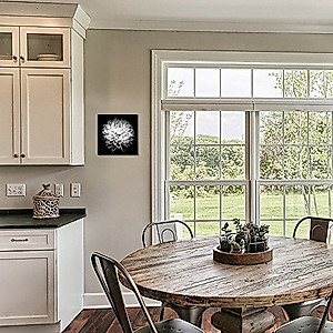 SUMGAR Black and White Wall Art for Bedroom Modern Plant Flower Canvas Paintings Floral Pictures Nuture Botanical Artwork,12x12 in