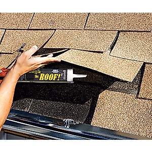 Sashco Through The Roof Sealant, 10.5 Ounce Cartridge, Clear (Pack of 12) -14010-12