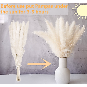 110 PCS Dried Pampas Grass Bouquet, Boho Table Decor, Bunny Tails Dried Flowers, Brown Pompas, White Pampas Grass for Wedding, Home, Rustic Party, Baby Shower Decorations