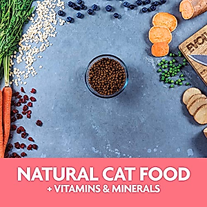 Evolve Classic Deboned Salmon, Rice and Sweet Potato Recipe Cat Food, 2.75lb