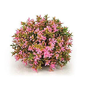 biOrb 46088.0 Flower Ball Pink Aquariums