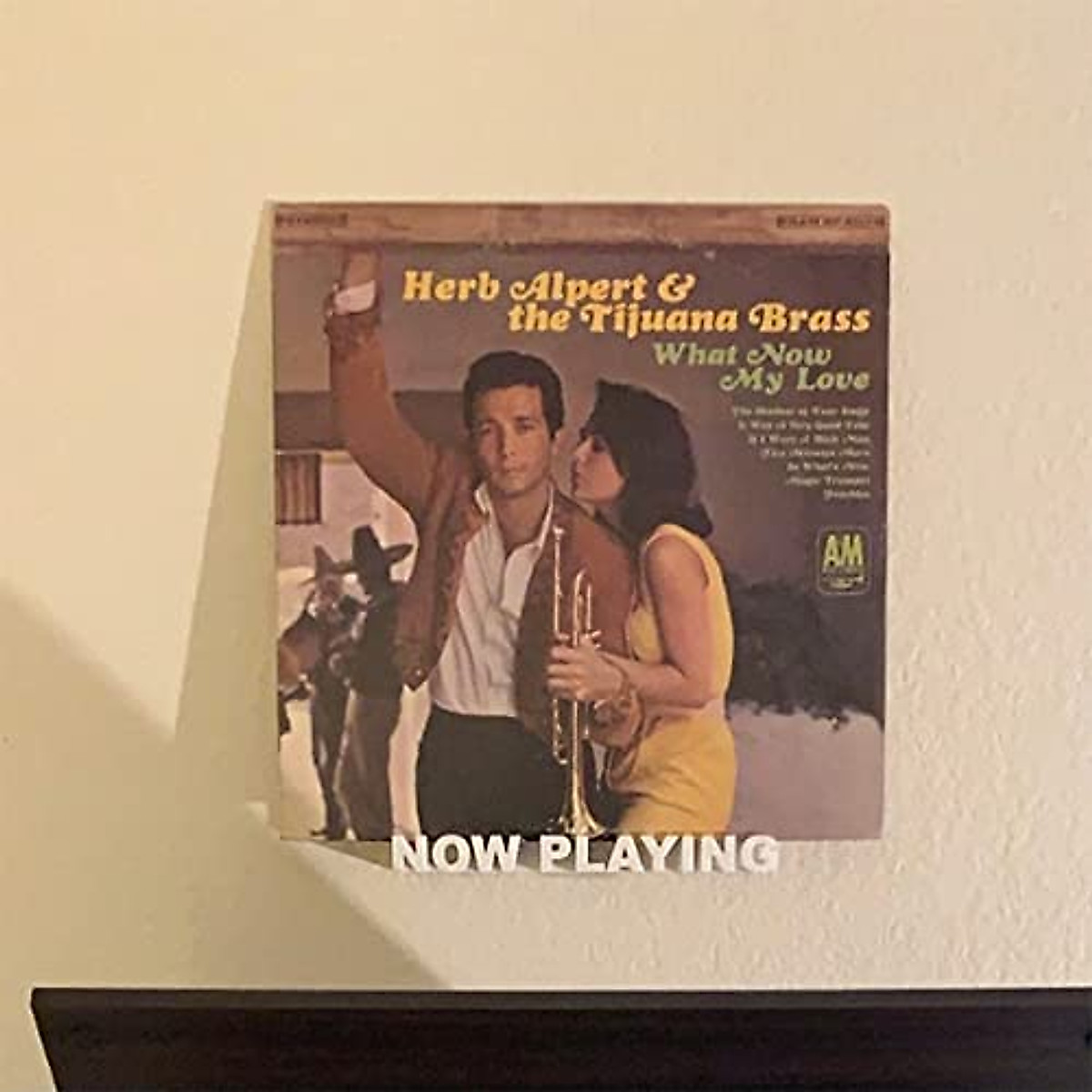 Now Playing Record Stand |Vinyl Wall Mount Shelf |Exotic 3D Wall Mount Shelf | Record Display Stand for Albums |Minimalist White