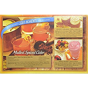 Alpine Spiced Apple Cider Sugar Free- 10 Count (Pack of 1)