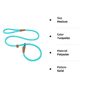 Slip Lead Dog Leash, Reflective Mountain Climbing Rope Leash, Dog Training Leash – 5FT, 2 Sizes (Medium, Turquoise)