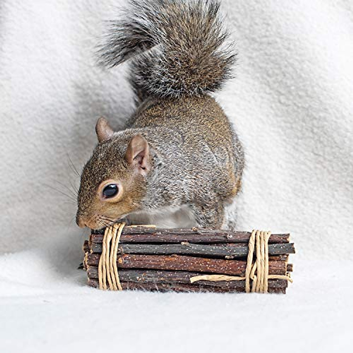 Apple Sticks (20 Pack) - Healthy Natural Apple Wood Branch Chew Treat - Guinea Pigs, Hamsters, Rabbits, Degus, Prairie Dogs, Chinchillas, Squirrels, Opossums, Rats, Hamsters, Gerbils & Small Pets