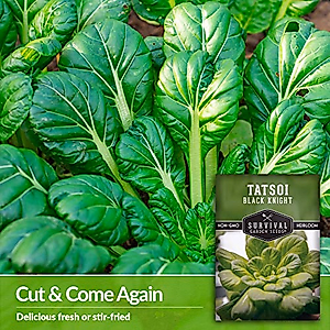 Survival Garden Seeds - Black Knight Tatsoi Seed for Planting - Packet with Instructions to Plant and Grow Delicious Asian Mustard Greens in Your Home Vegetable Garden - Non-GMO Heirloom Variety…