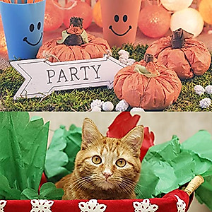 KESOTE Colored Tissue Paper for Gift Bags Crafts, 14" x 20" Tissue Paper Bulk 100 Sheets Gift Paper Tissue for Packaging - 20 Colors