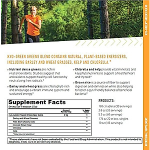 Kyo-Green Green Blends Energy Powered Drink Mix, 10 Ounce Bottle