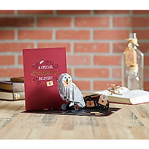 Lovepop Harry Potter Hedwig™ Birthday Delivery Pop Up Card, 5 X 7 Inches, Handcrafted 3D Pop-Up Greeting Card, Card for Kids