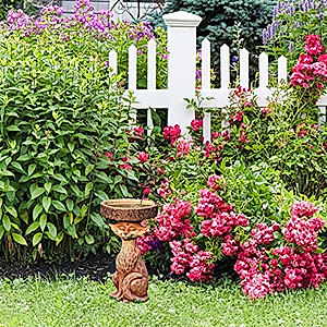 Outdoor Bird Bath Feeder Standing, Resin Bird Bath Bowl Tray for Inside, Animal Hummingbird Feeders Statue Decor for Garden Lawn Patio Yard Bird Lovers Gifts