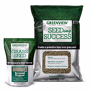 GreenView Fairway: Formula Perennial Ryegrass Grass Seed and Seeding Success Bundle - Covers 750 sq. ft.