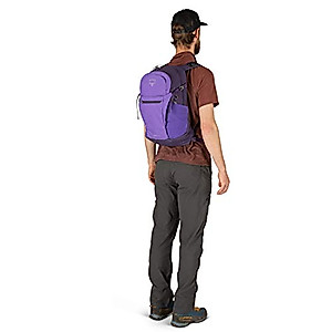 Osprey Daylite Plus Commuter Backpack, Dream Purple