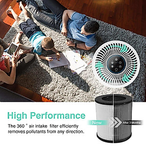 Air Purifiers for Home Large Room 1345 Ft², Tailulu H13 True HEPA Air Cleaner with Replacement Filter Purify Smoke Dust Pollen for Bedroom Living Room, Only for D09 Air Purfiier