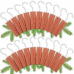20 Pieces Cedar Hang Ups Natural Cedar Blocks Aromatic Ceder Hangers Cedar Blocks for Clothes Storage Cedar Wood Chips with Hooks Hanging Cedar Planks Storage Accessories for Closet and Drawers