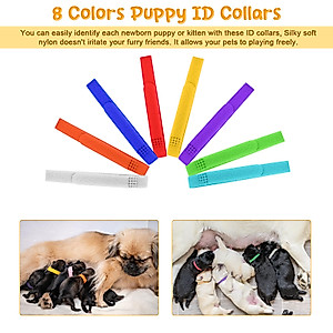 TAZKZZY Pet Birthing Supplies, Complete Whelping Kits for Puppy and Kitten, Kitten Supplies, Dog Supplies, Kitten Bottle Feeding kit for New Born Puppy Supplies and Kitten