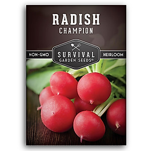 Survival Garden Seeds - Champion Radish Seed for Planting - Packet with Instructions to Plant and Grow Red Radishes in Your Home Vegetable Garden - Non-GMO Heirloom Variety