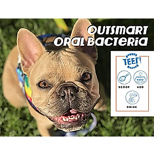 TEEF! Daily Dental Care - Natural Dog Dental Water Additive, 6 Month Supply - Award Winning Protektin42 Formula, Tartar and Plaque Remover - No Brushing, Add to Water Bowl for Healthier Gums