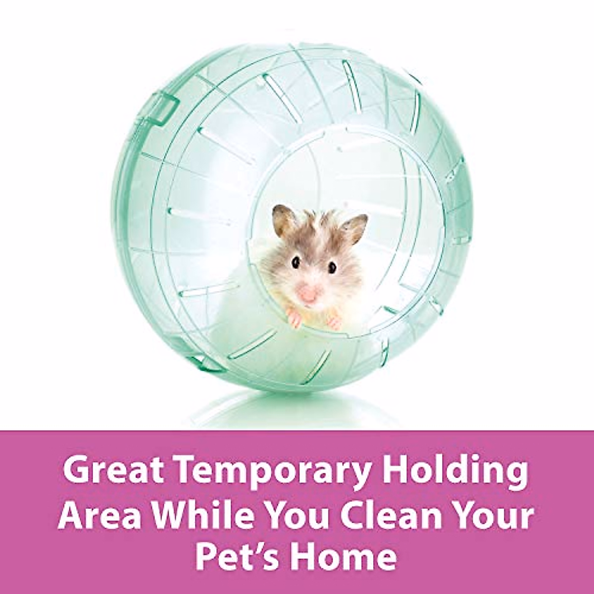 Kaytee 11.5" Clear Run-About Exercise Ball For Pet Rats & Chinchillas